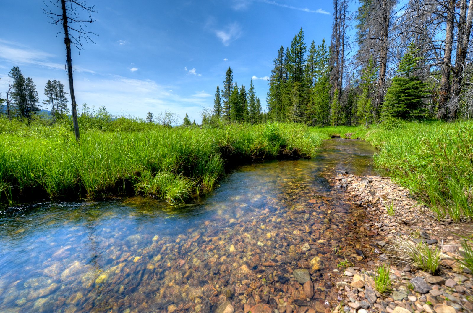 Best world-class Montana real estate expertise and representation.